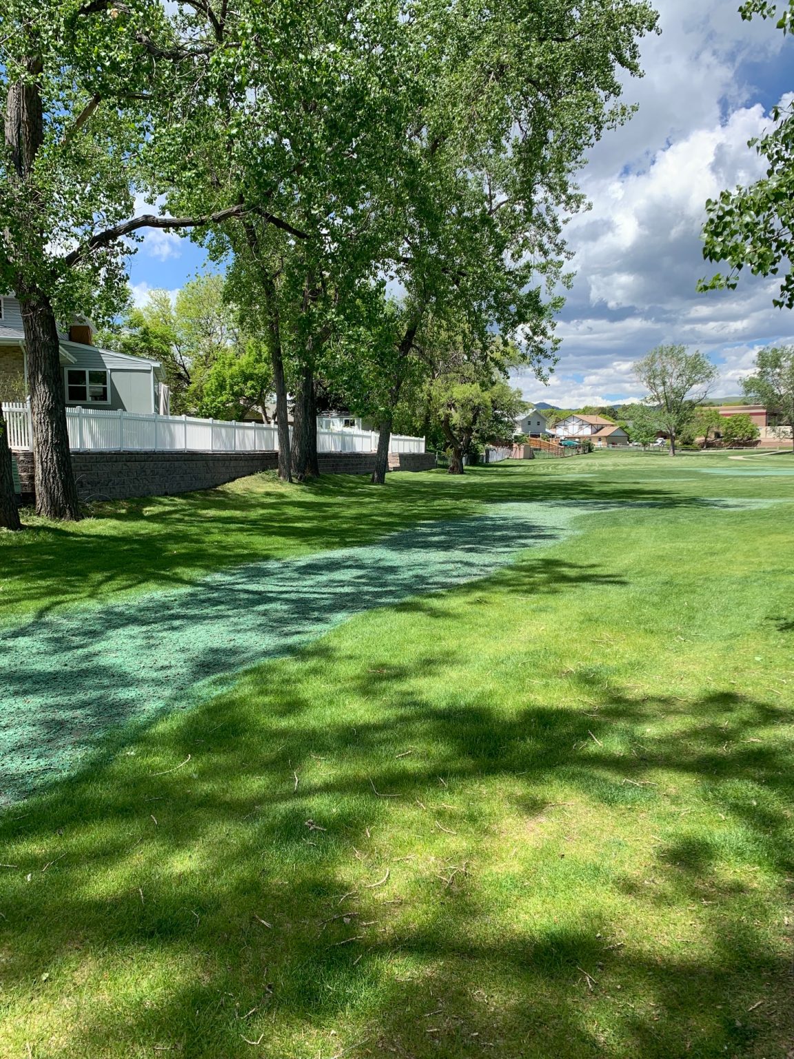 What Is Hydroseeding? - Foothills Hydroseed